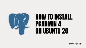How to install PgAdmin 4 on Ubuntu 20.04 - YallaLabs